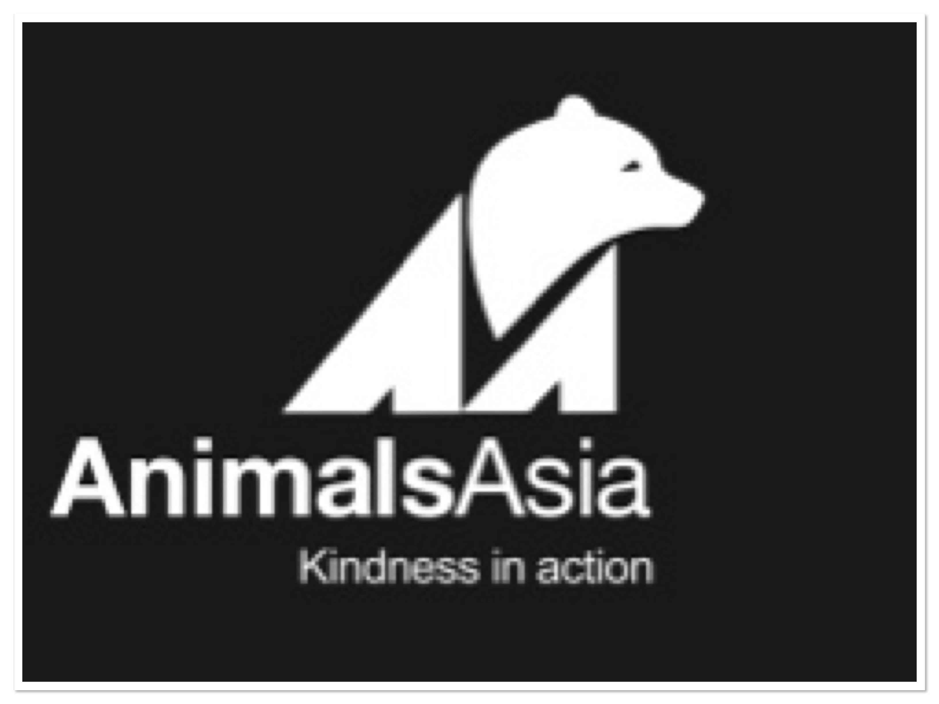 Charity of the Month | Something in the way she moves…